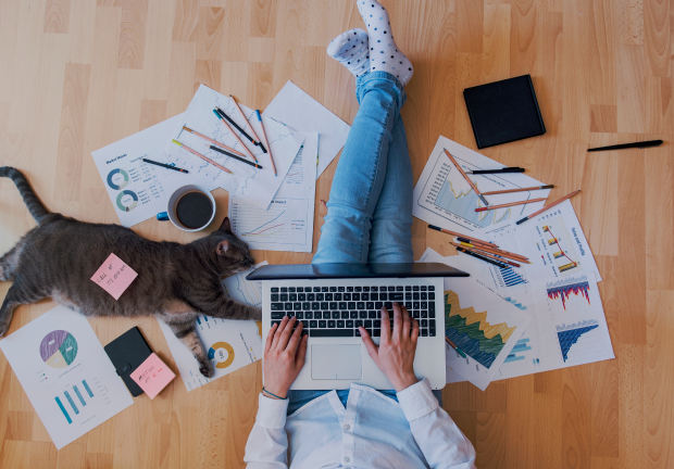 2019 HSC - Business Studies Short Answer Responses